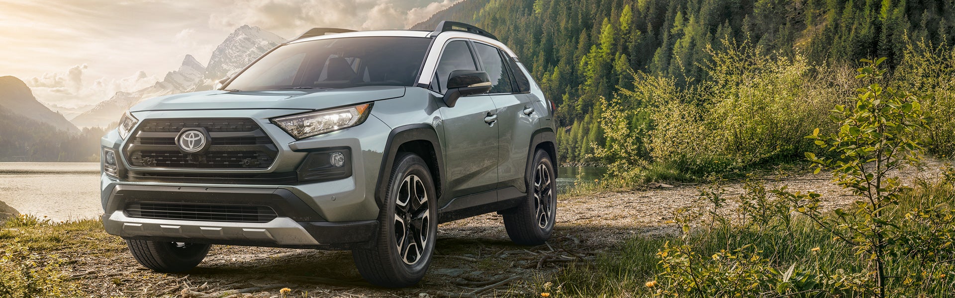 2019 Toyota RAV4 Hybrid